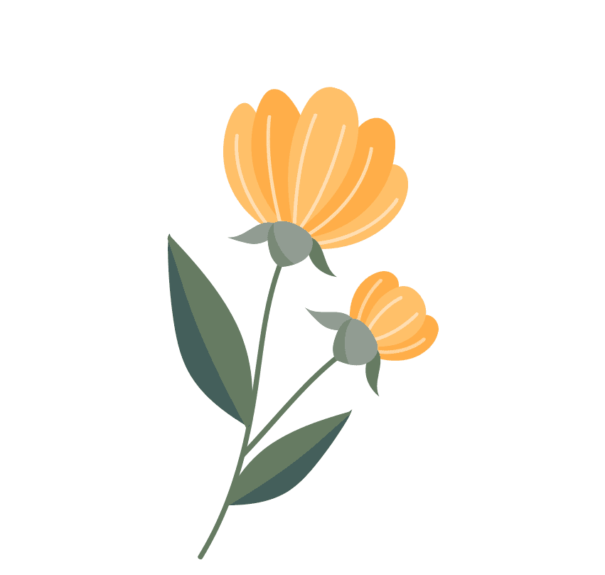 Marma Points of Ayurveda: Healing Through Marma Therapy