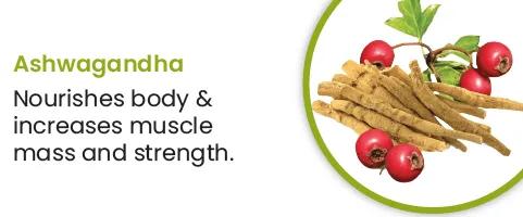 #1 Ayurvedic mass gainer tablets in India for muscle gain